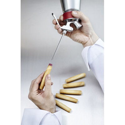 Isi North America Injector Tips For Isi Gourmet Whippers, Set Of 4, Stainless Steel | Wayfair